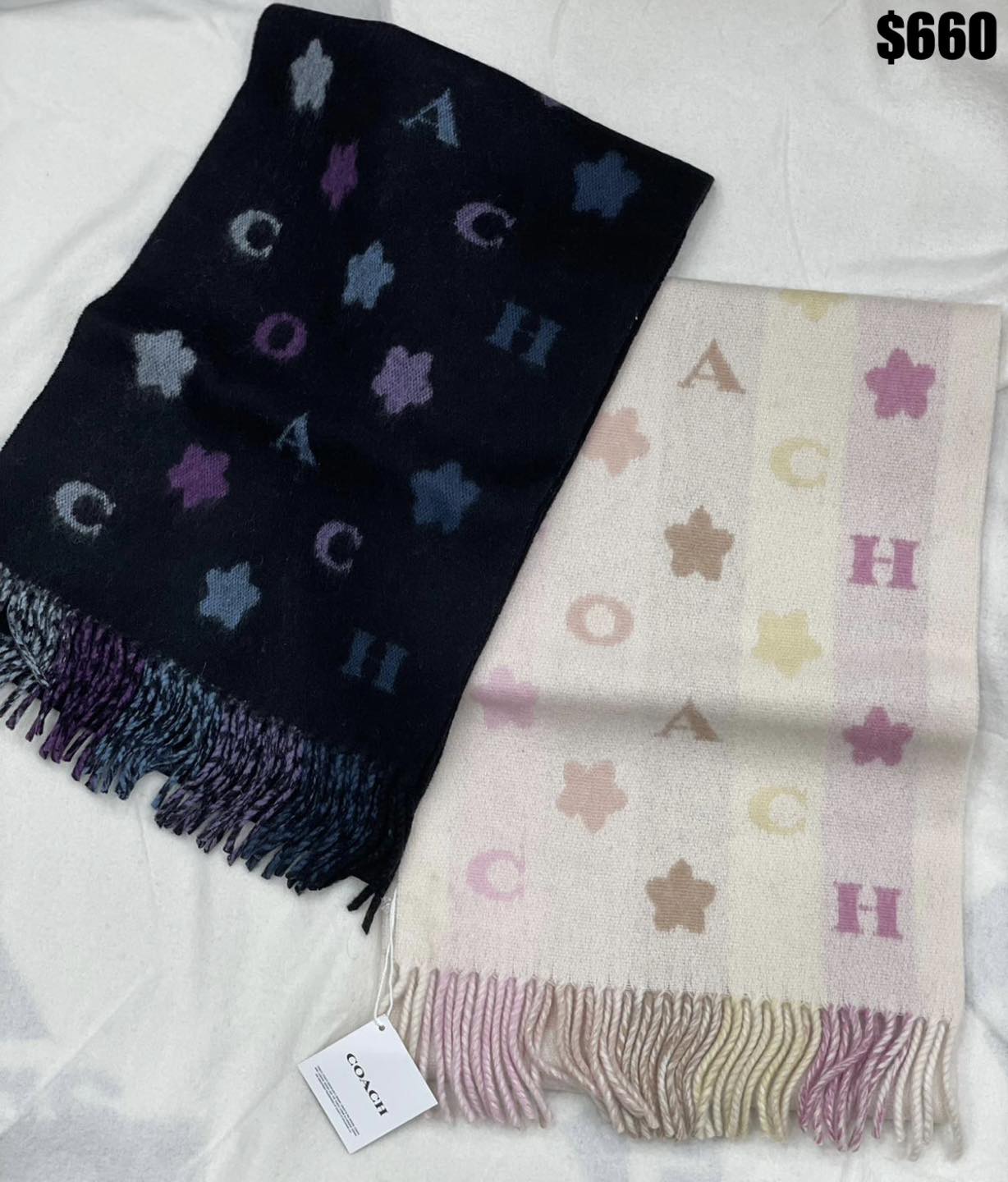 Coach Stars Striped Print Muffler - lovehoneybeebee - lovehon ...