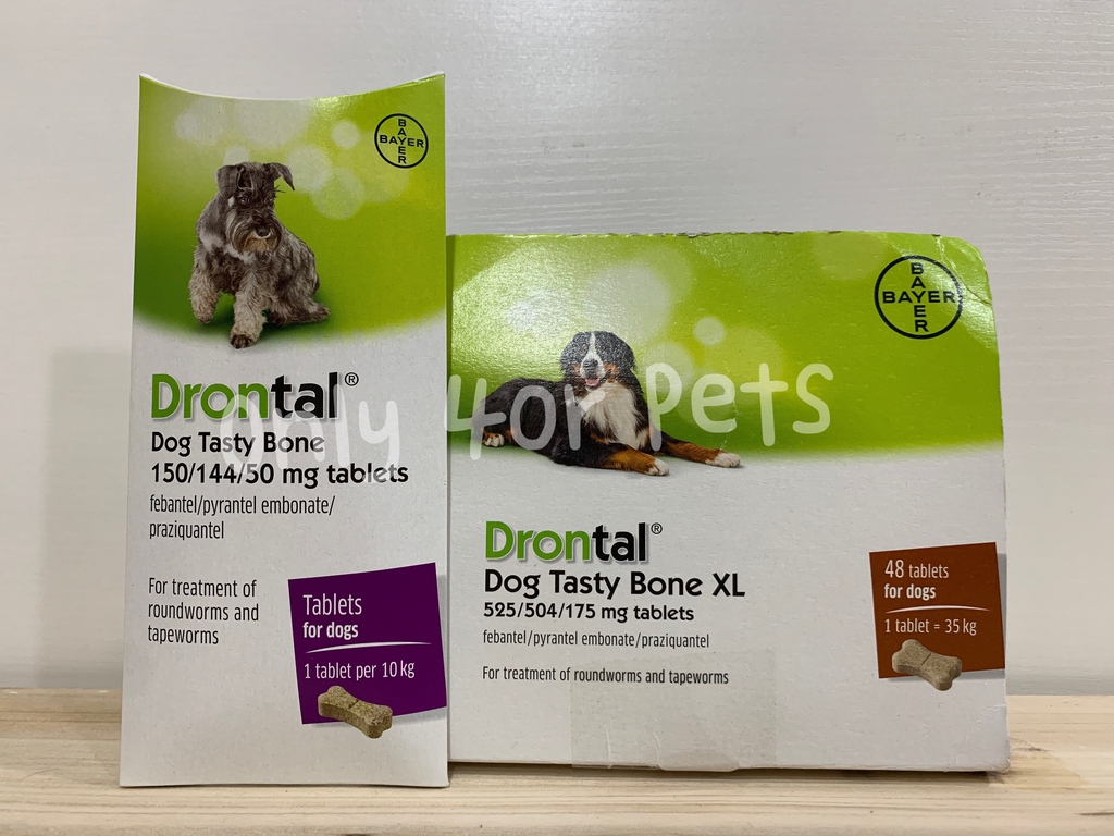Bayer Drontal for Dog 犬用杜蟲藥 - Only4orPets 寵樂部