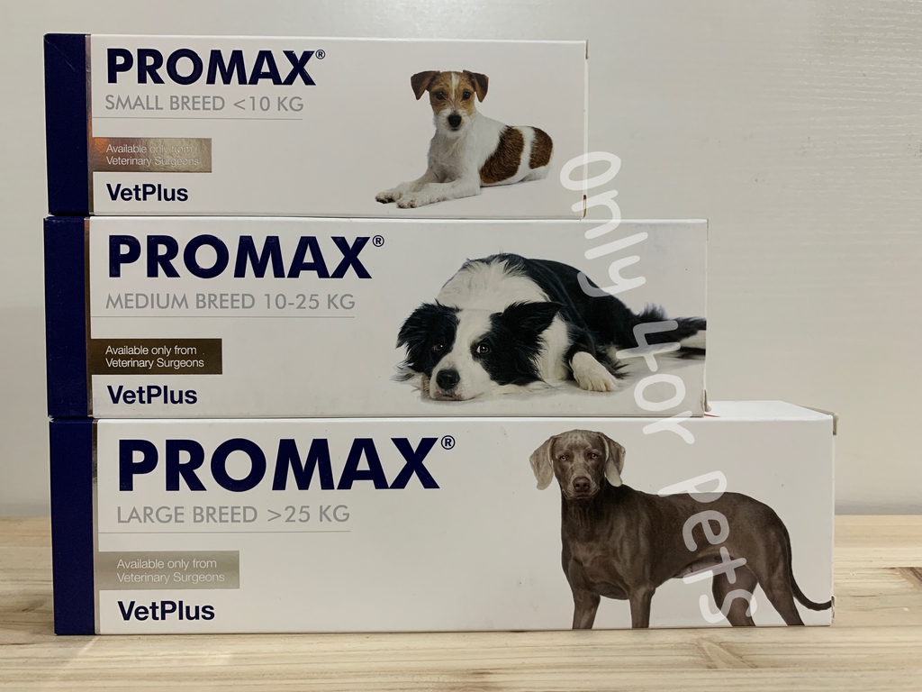 Vetplus Promax Once-a-day 犬貓用止瀉腸道益生菌 - Only4orPets 寵樂部 - Only ...